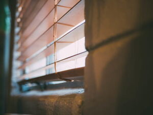 Should your Home Office Desk Face the Window? - The Nature Hero