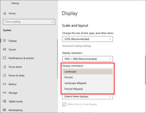 Should Your Second Monitor be Vertical? - The Nature Hero