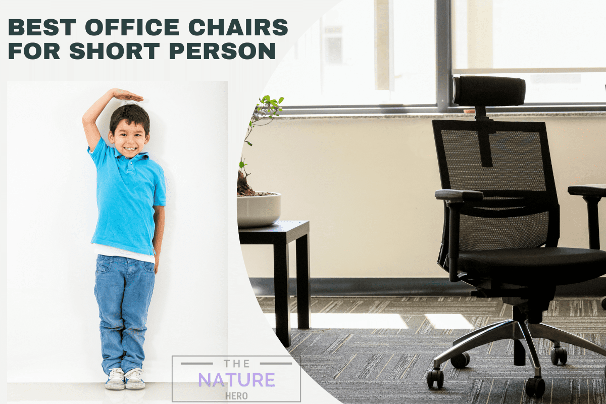 10 Best Office Chairs For Short Persons - The Nature Hero