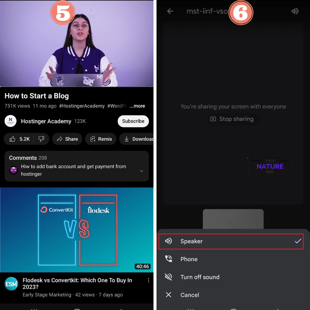 How to Share Screen on Google Meet With Audio? - The Nature Hero