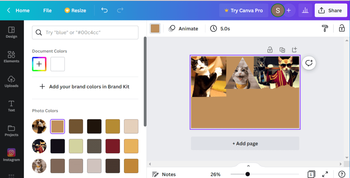 How to Use Canva Frames? - The Nature Hero