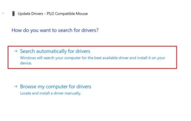 Why is My Wireless Mouse Lagging? 9 Ways to Fix - The Nature Hero