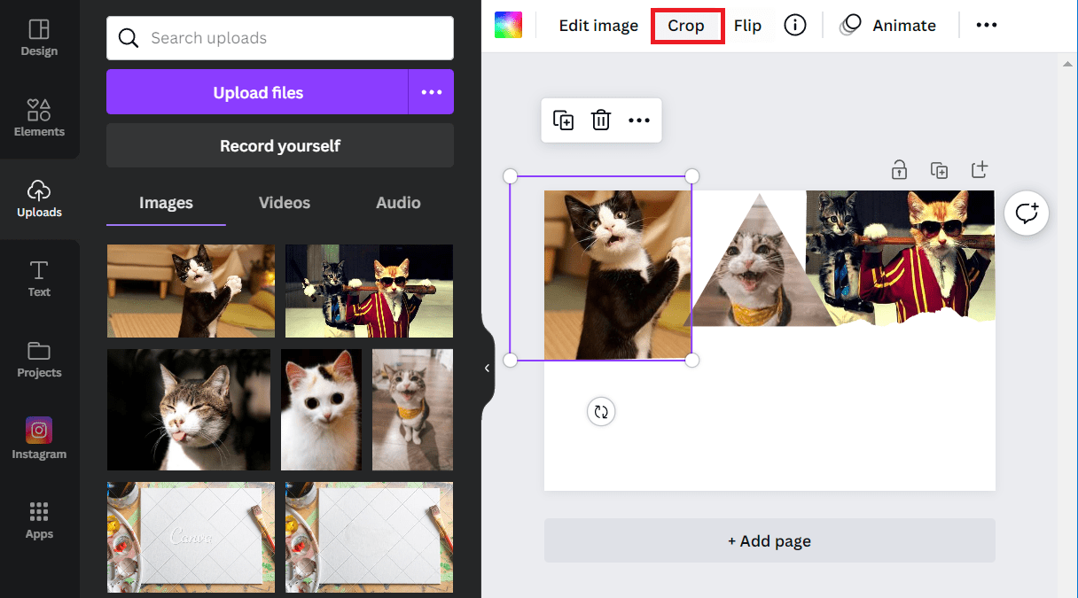 How to Use Canva Frames? - The Nature Hero