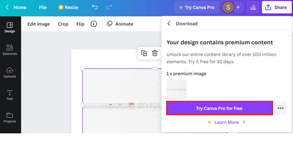 How to Remove Canva Watermark? - The Nature Hero