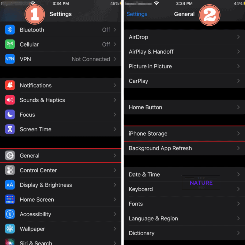 How to Clear Microsoft Teams Cache? [Detailed Guide] - The Nature Hero