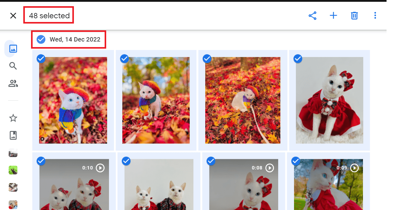 How to Select All Photos in Google Photos? [Complete Guide] - The ...