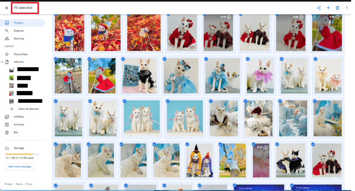 How to Select All Photos in Google Photos? [Complete Guide] - The ...