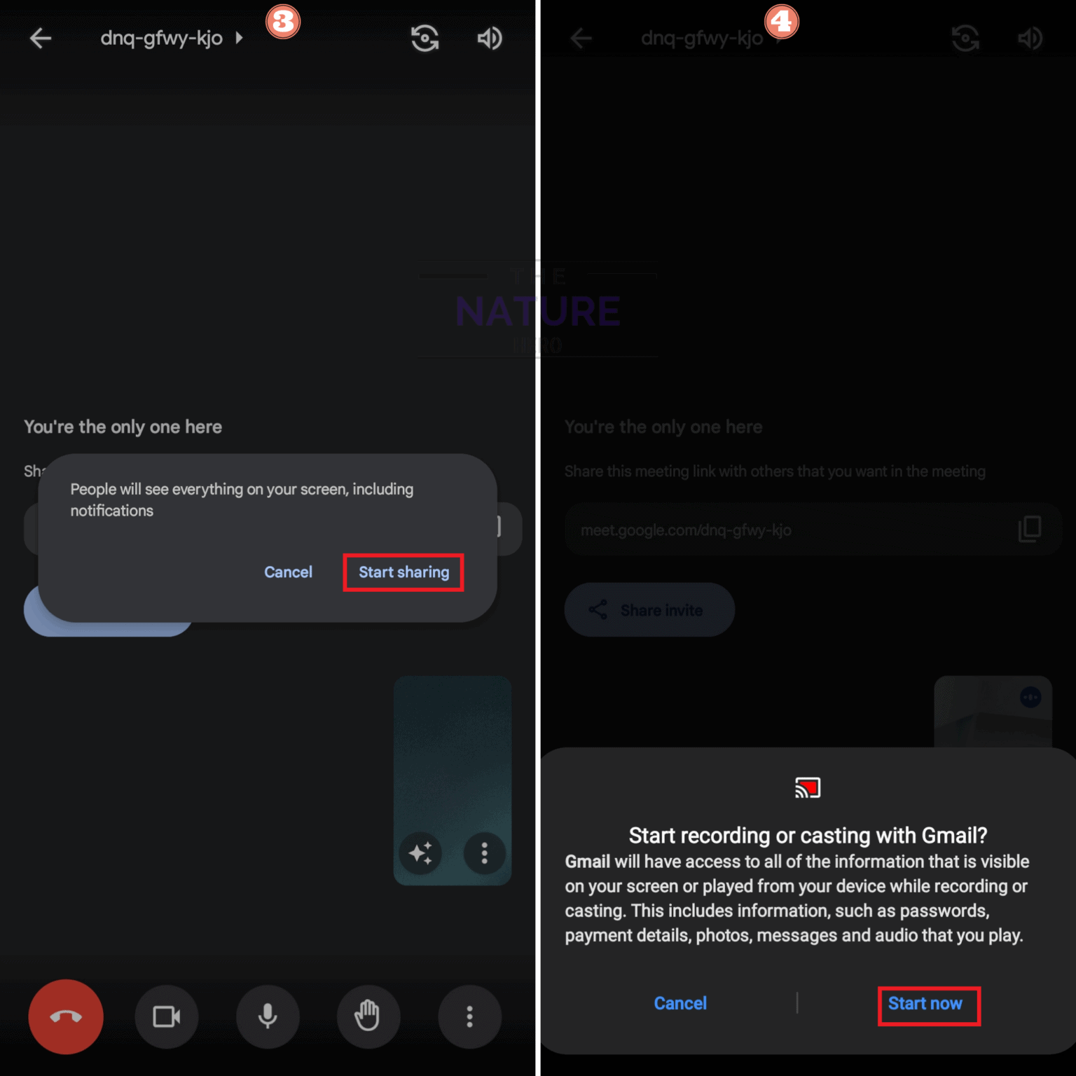 How to Share Screen on Google Meet With Audio? - The Nature Hero