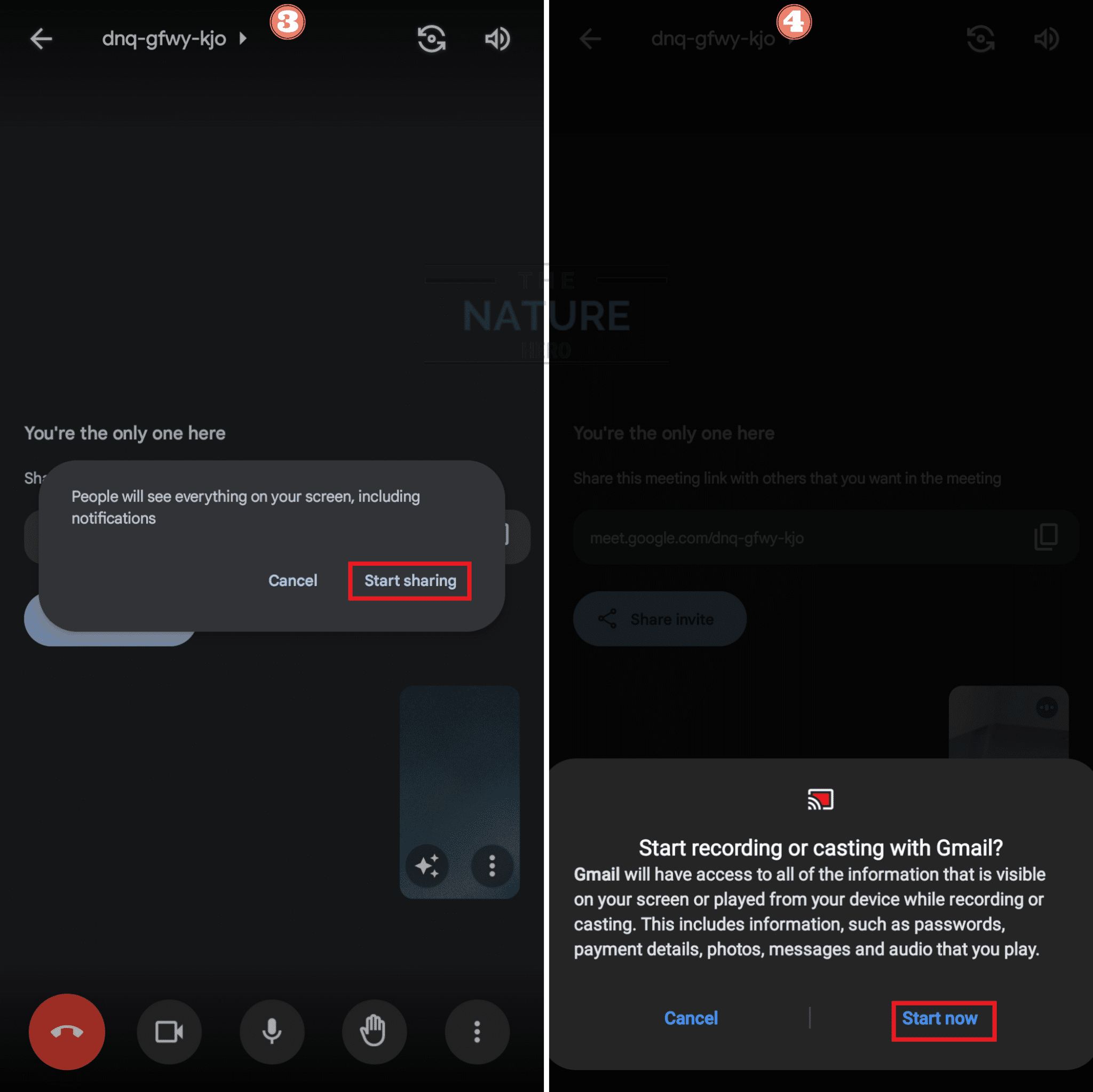 How to Share Screen on Google Meet With Audio? - The Nature Hero