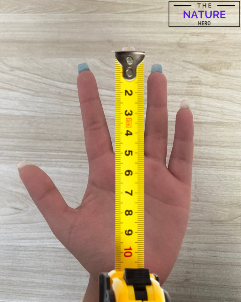 How to Measure Your Hand Size for Mouse? - The Nature Hero