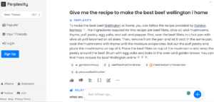 How To Use Perplexity AI? A Complete Guide - The Nature Hero
