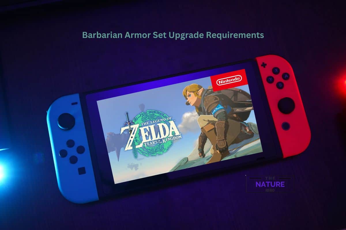 What Are Barbarian Armor Upgrade Requirements? - The Nature Hero