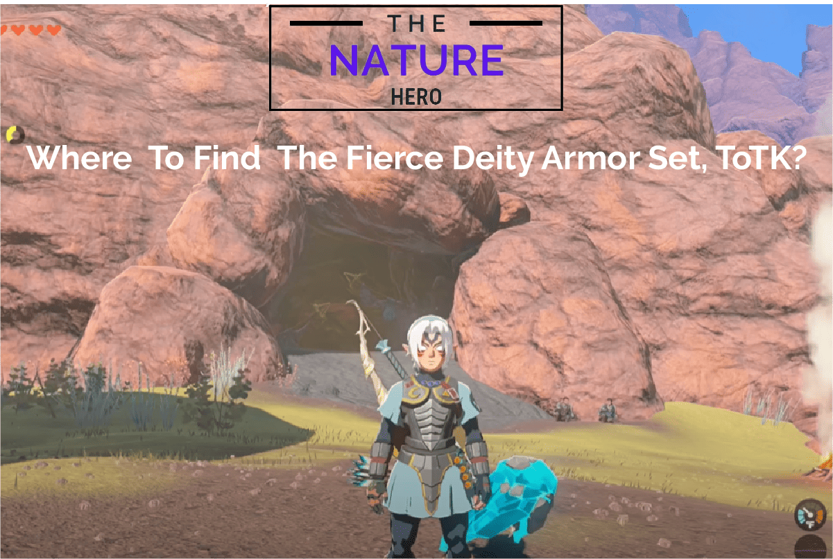 How To Obtain The Fierce Deity Armor Without Amiibo? - The Nature Hero