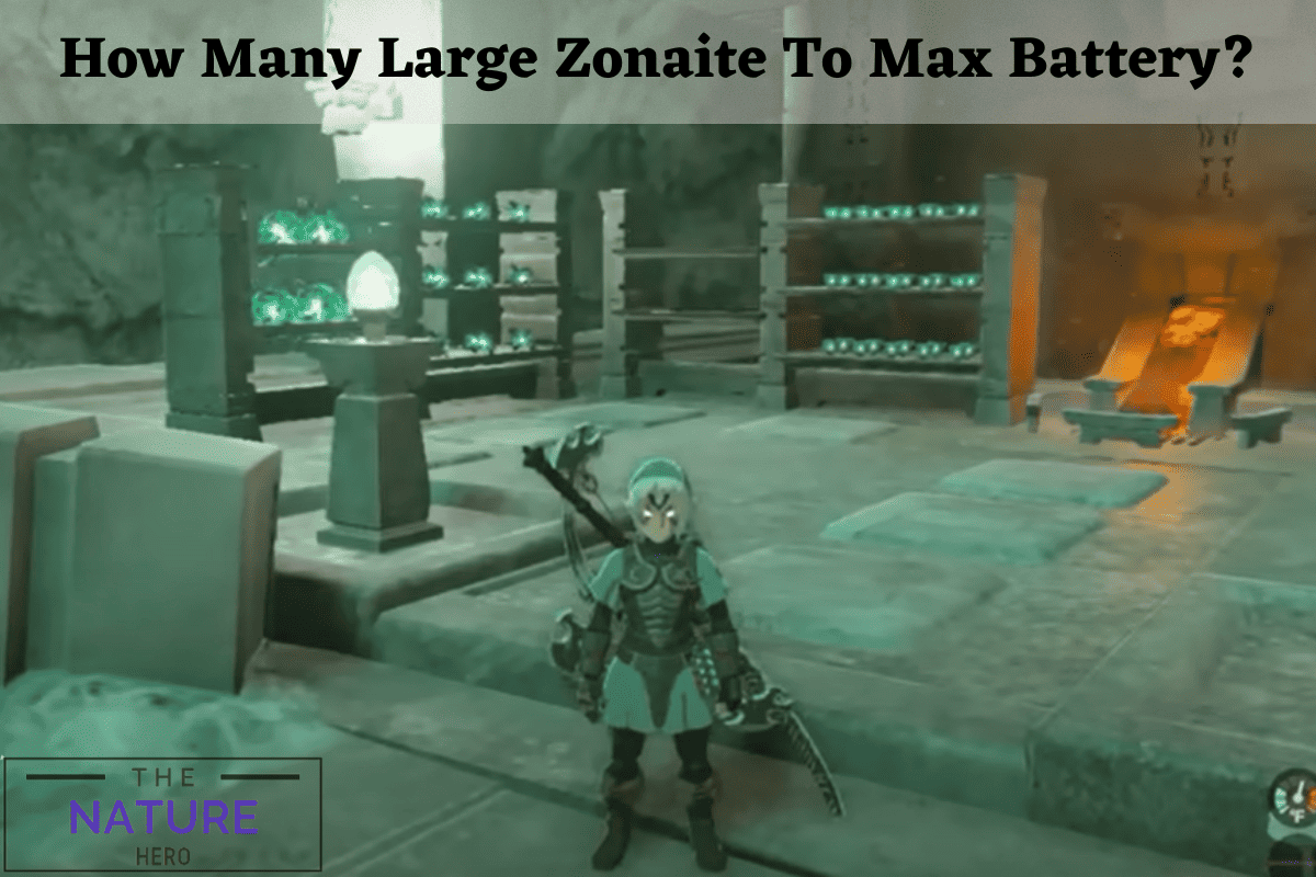 How Many Large Zonaite To Max Battery? - The Nature Hero