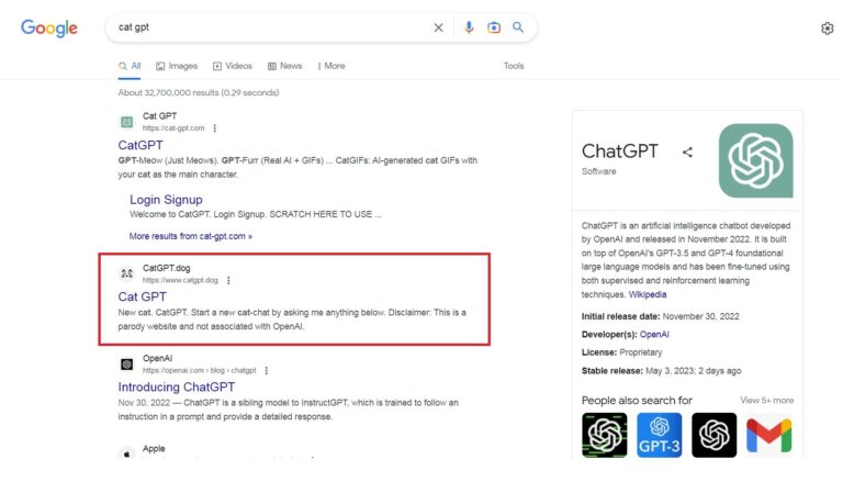 What Is CatGPT And How To Use It? - The Nature Hero