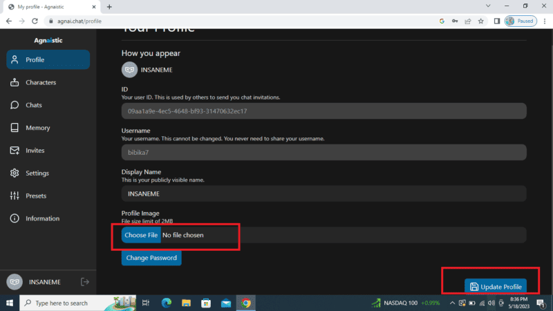 How To Use Agnai Chat? Explore Its Characters - The Nature Hero