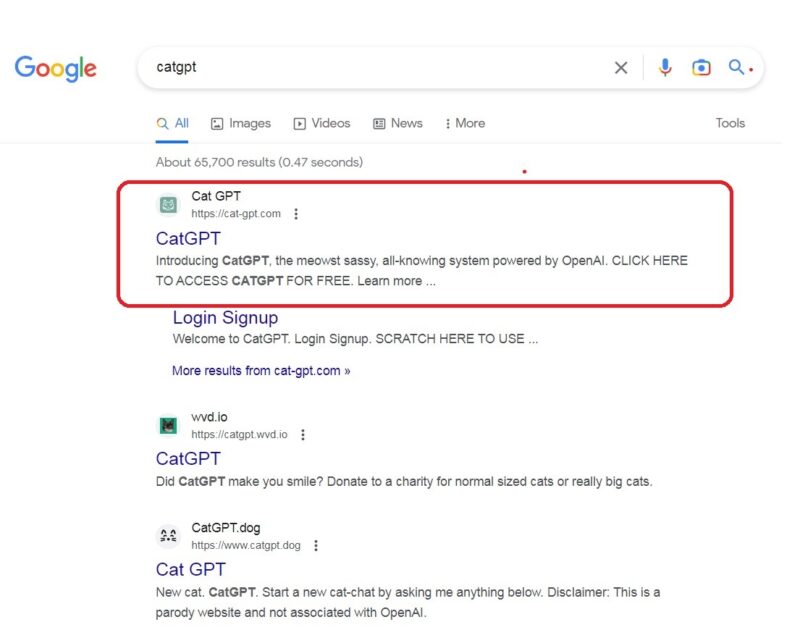 What Is CatGPT And How To Use It? - The Nature Hero