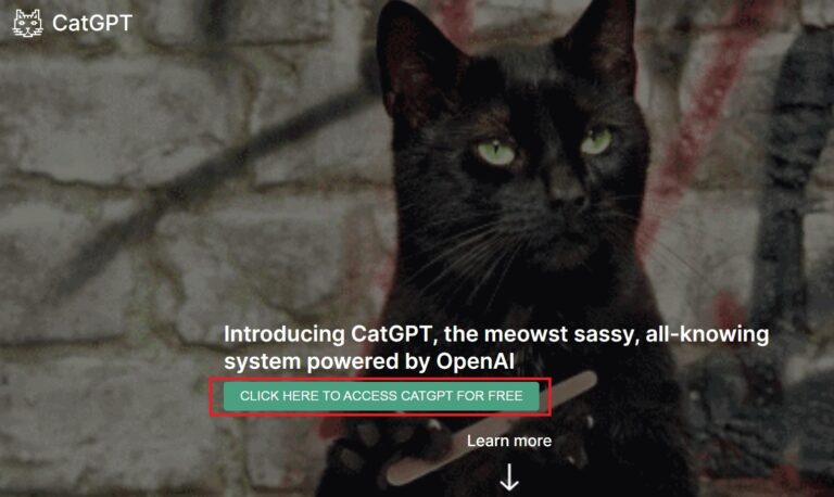 What Is CatGPT And How To Use It? - The Nature Hero