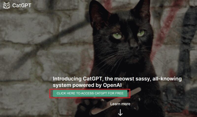 What Is CatGPT And How To Use It? - The Nature Hero