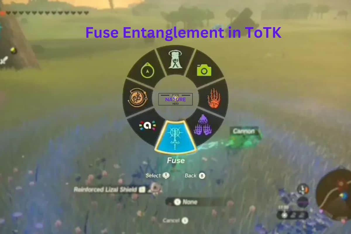 Fuse Entanglement In ToTK - Comprehensive Guide - The Nature Hero