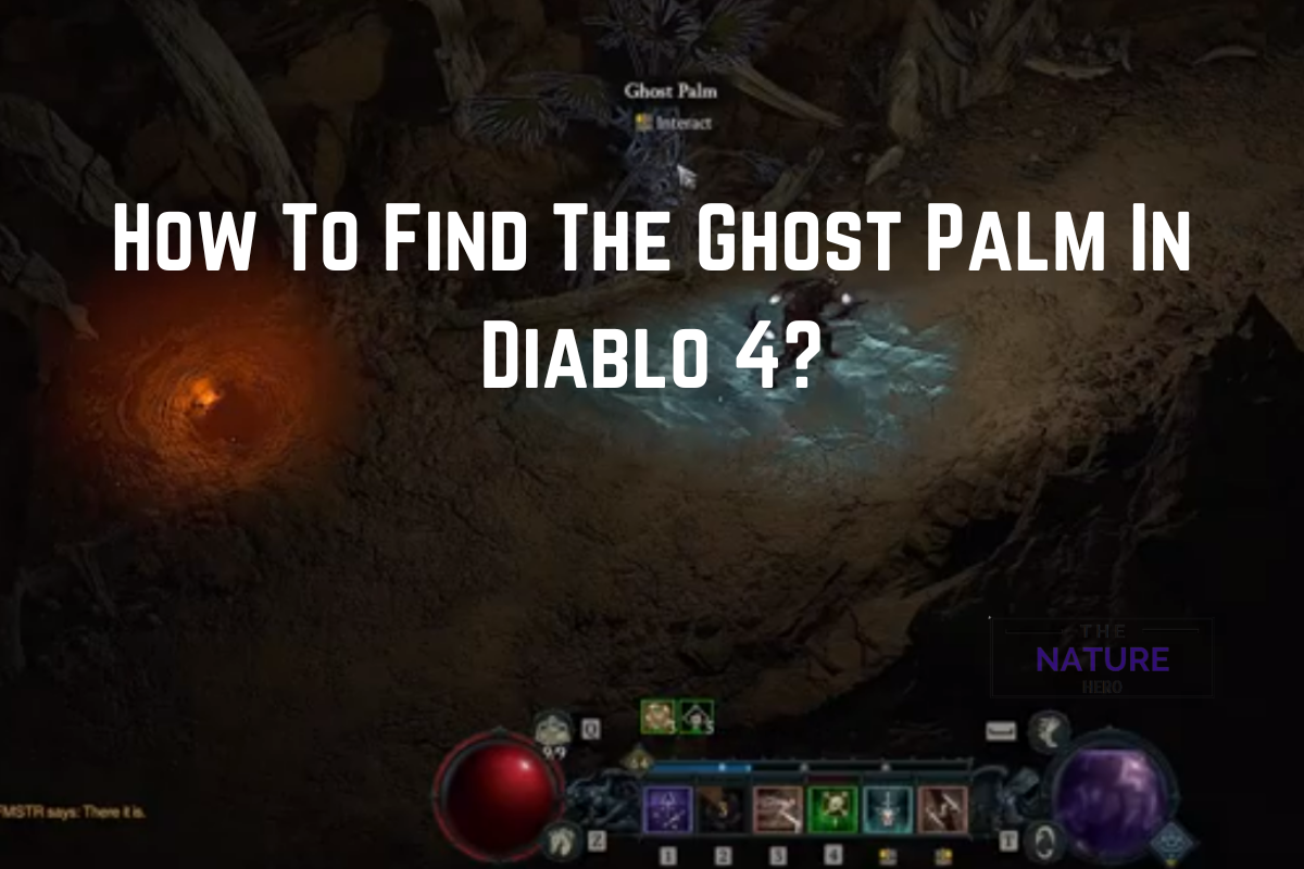 How To Find A Ghost Palm In Diablo 4? - The Nature Hero