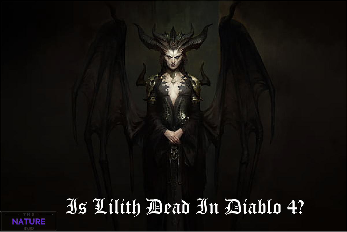 Is Lilith Dead In Diablo 4 - Will She Return Again? - The Nature Hero
