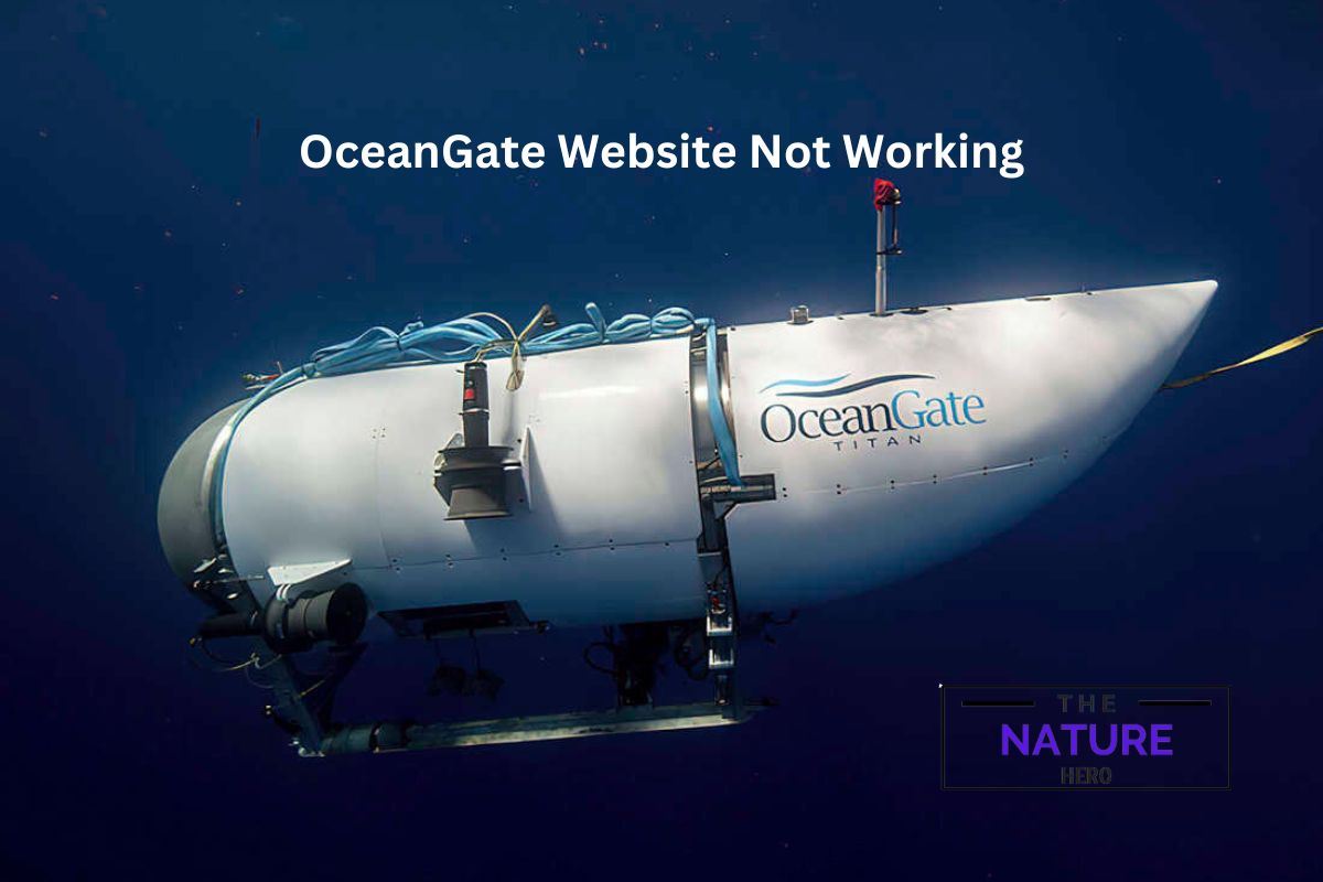 OceanGate Website Not Working - Easy Fixes - The Nature Hero