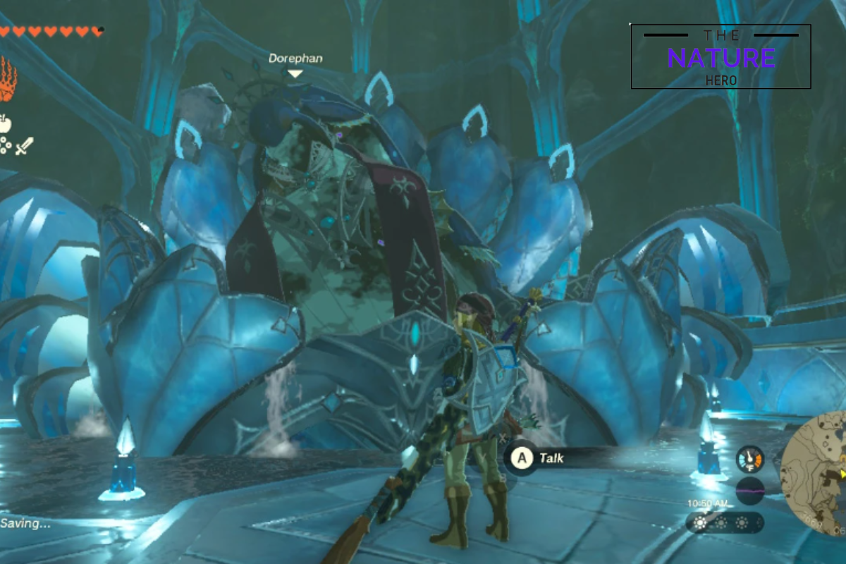 Where Is King Dorephan Hiding? - The Nature Hero