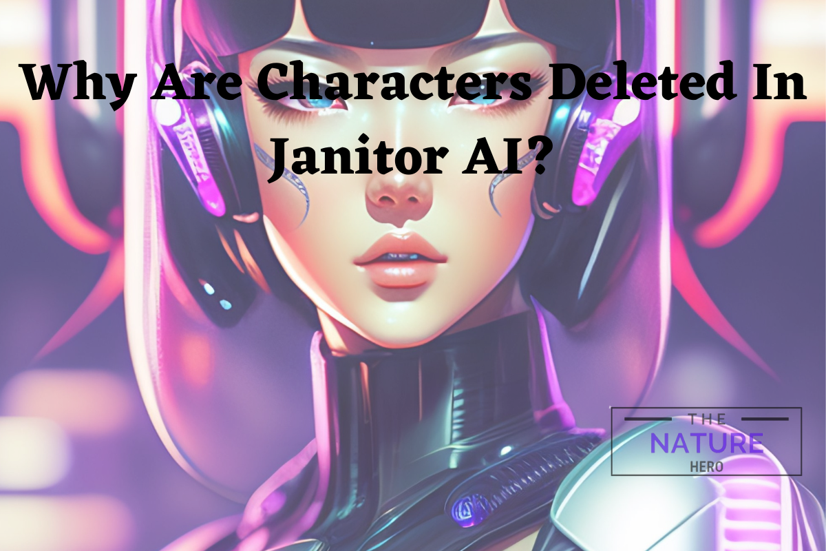 Janitor AI Not Showing Characters - 6 Easy Fixes - The Nature Hero