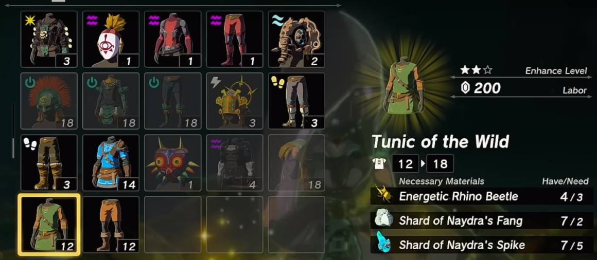 How To Upgrade Tunic Of The Wild In TotK? - The Nature Hero