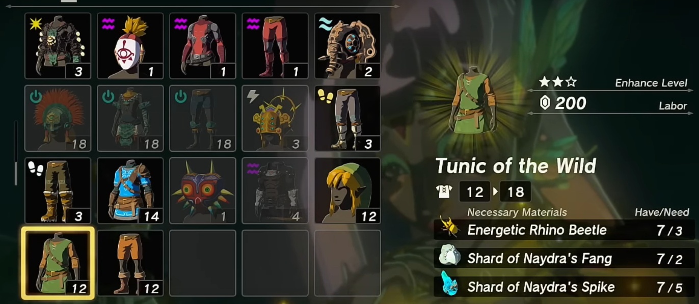 How To Upgrade Tunic Of The Wild In TotK? - The Nature Hero