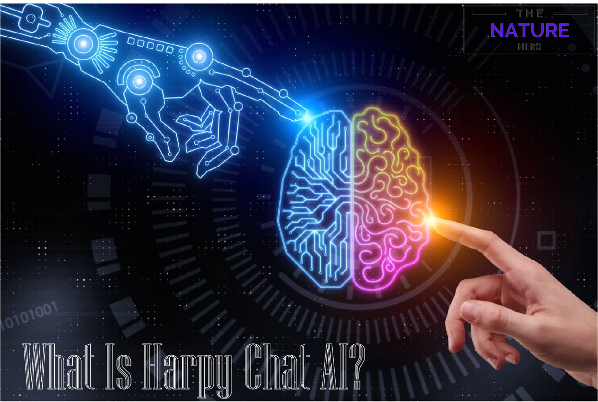 How To Use Harpy Chat AI? Complete Guide - The Nature Hero