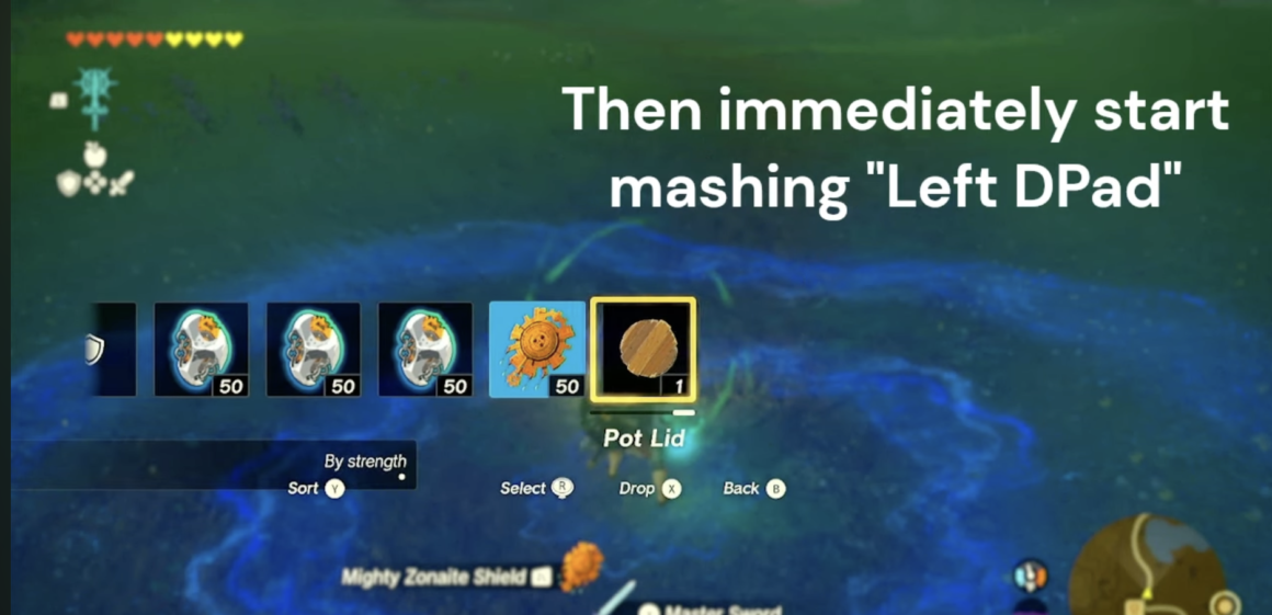 Fuse Entanglement In ToTK - Comprehensive Guide - The Nature Hero