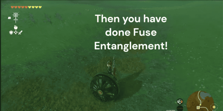Fuse Entanglement In ToTK - Comprehensive Guide - The Nature Hero