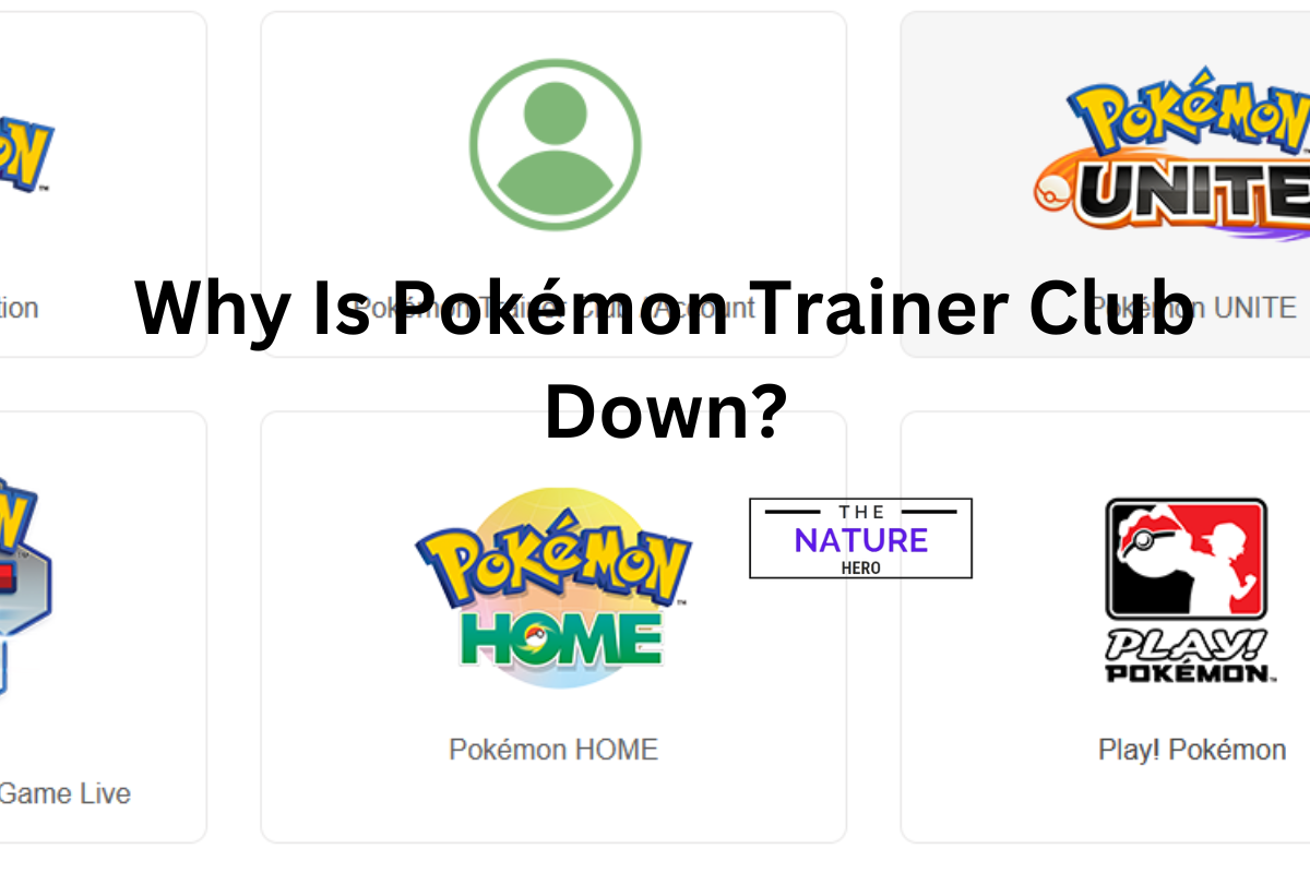 Why Is Pokemon Trainer Club Down? - The Nature Hero