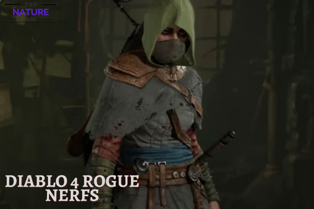 Diablo 4 Rogue Nerf: Everything You Need To Know - The Nature Hero