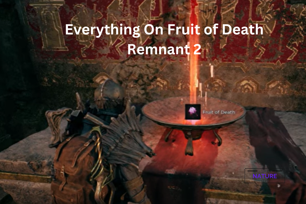 How To Get Fruit Of Death In Remnant 2? - The Nature Hero
