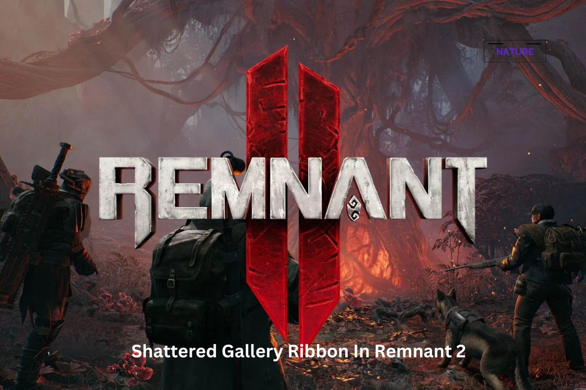 Explore The Shattered Gallery Ribbon Quest In Remnant 2 - The Nature Hero