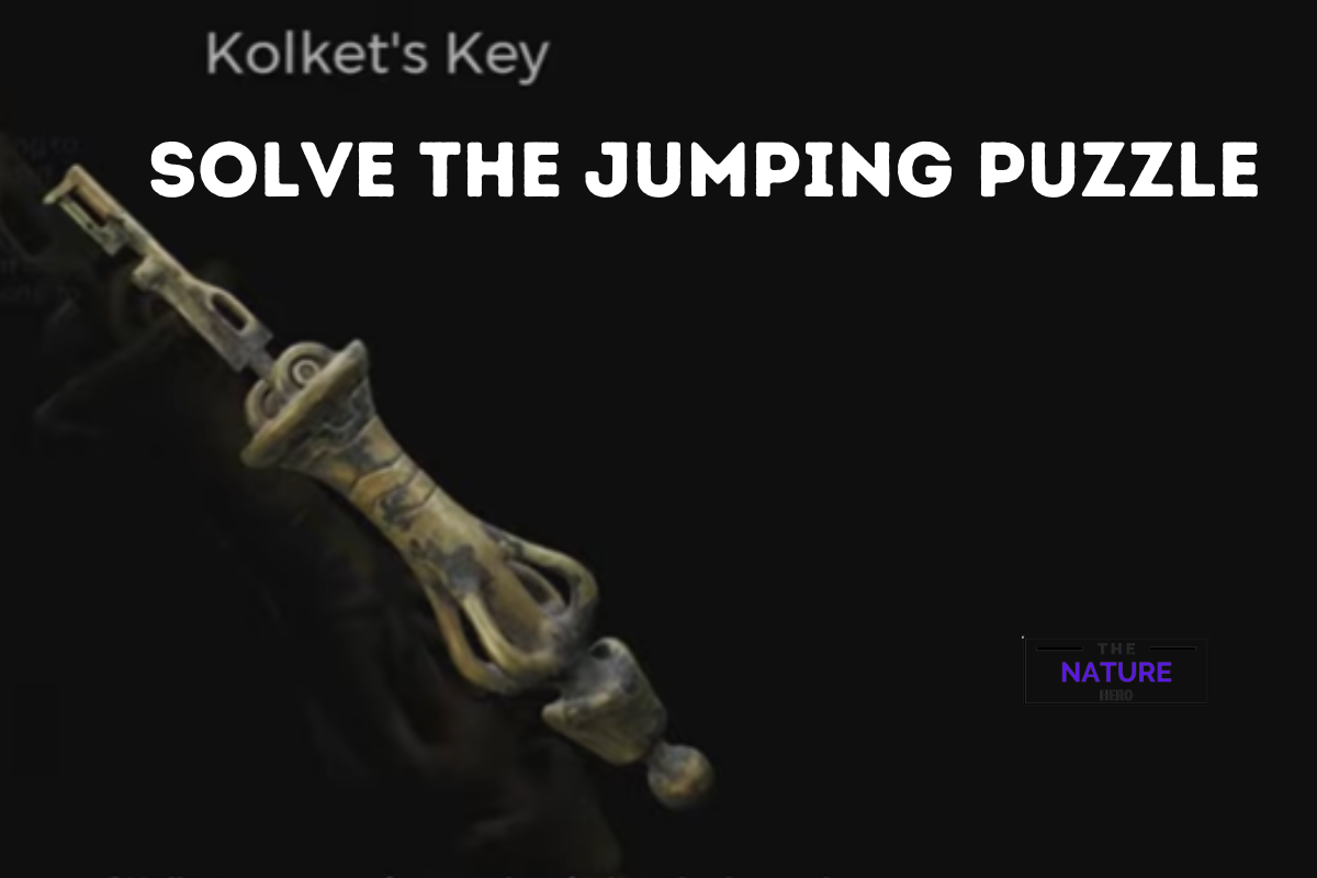 How To Solve Lament Jumping Puzzle In Remnant 2? - The Nature Hero