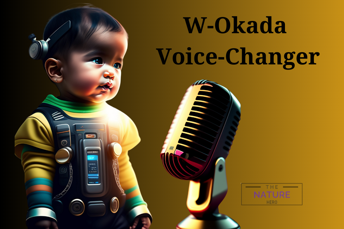 W Okada Voice Changer: How To Use It? - The Nature Hero