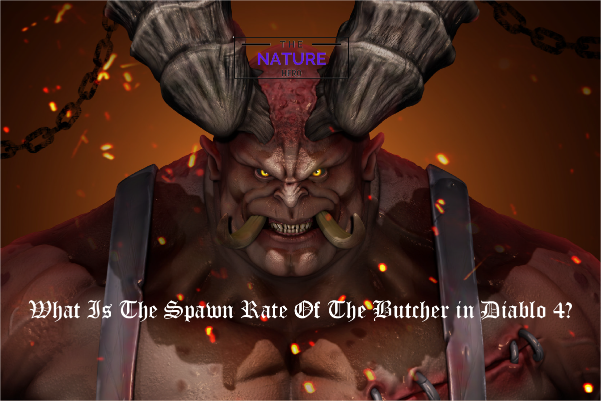 What Is The Spawn Rate Of The Butcher In Diablo 4 ? - The Nature Hero