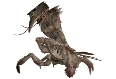 Explore The Fog Crawler Location In Fallout 76 - The Nature Hero