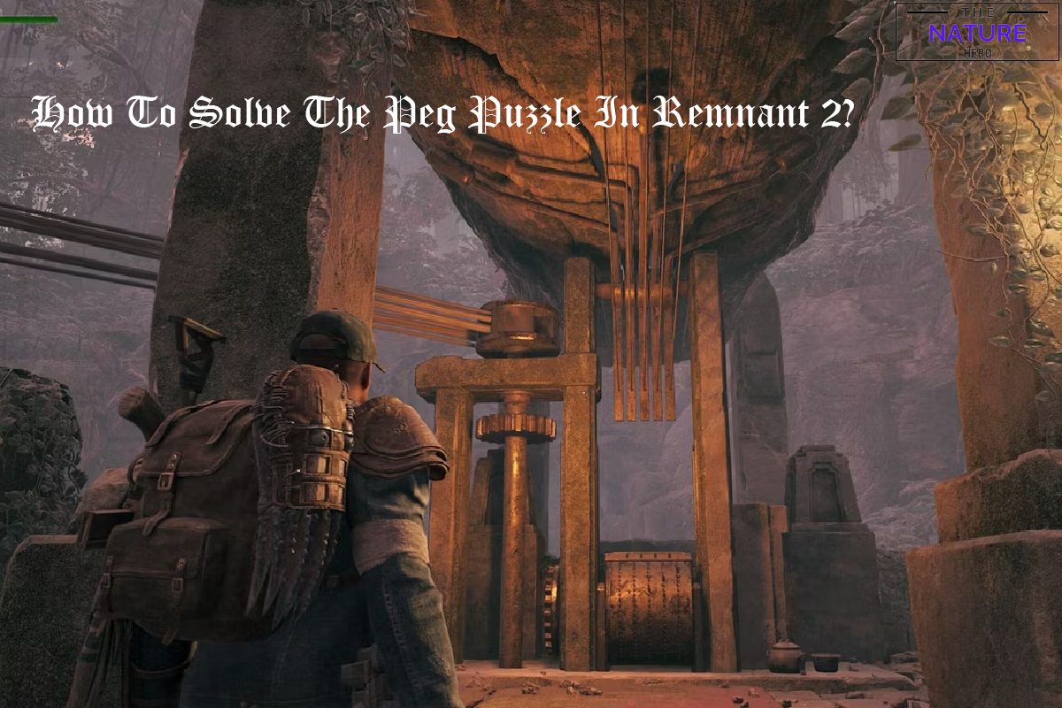 How To Solve The Peg Puzzle In Remnant 2? - The Nature Hero