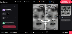 What Is Remini App? An AI Photo Enhancer - The Nature Hero