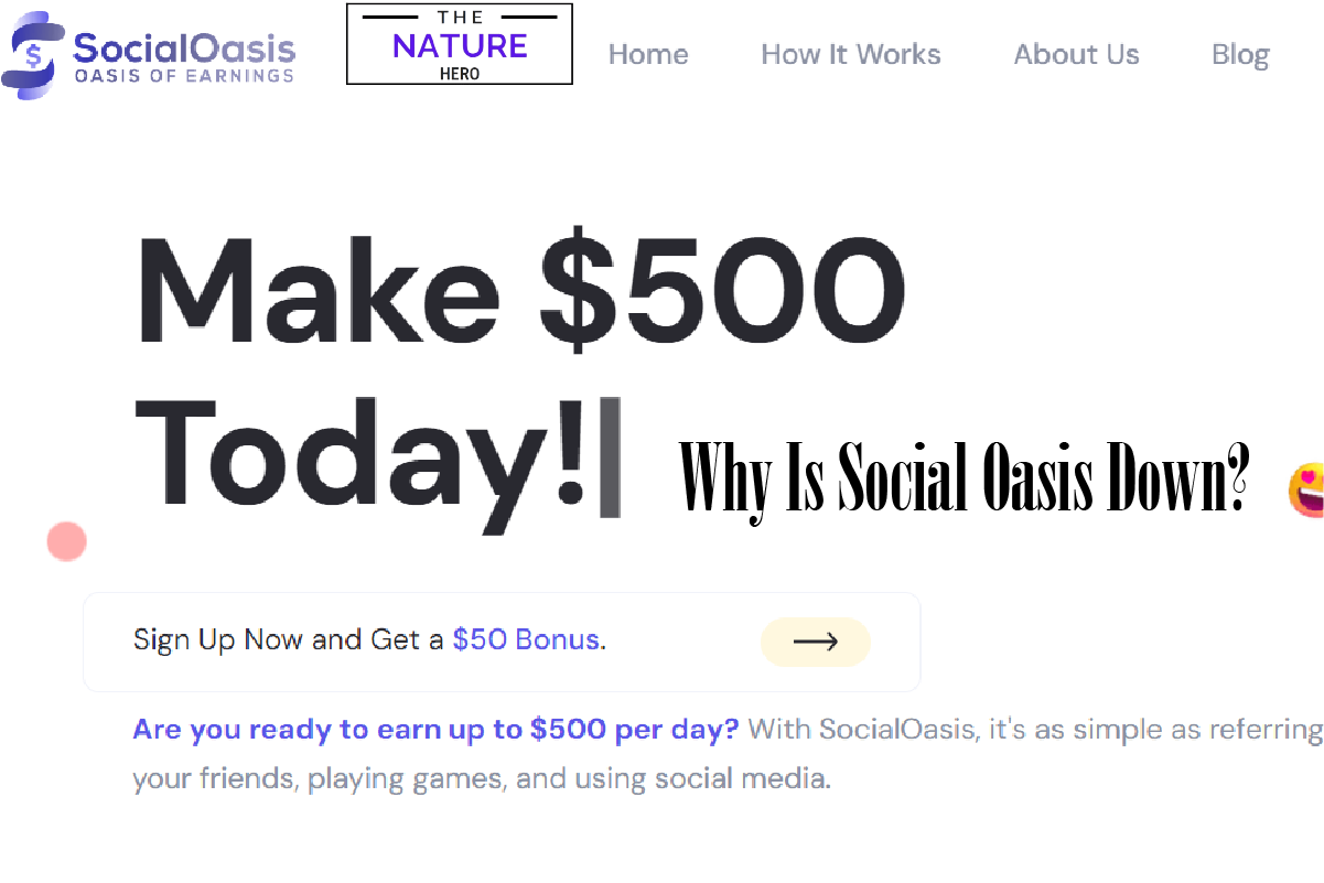 Social Oasis Down: Causes And Fixes - The Nature Hero