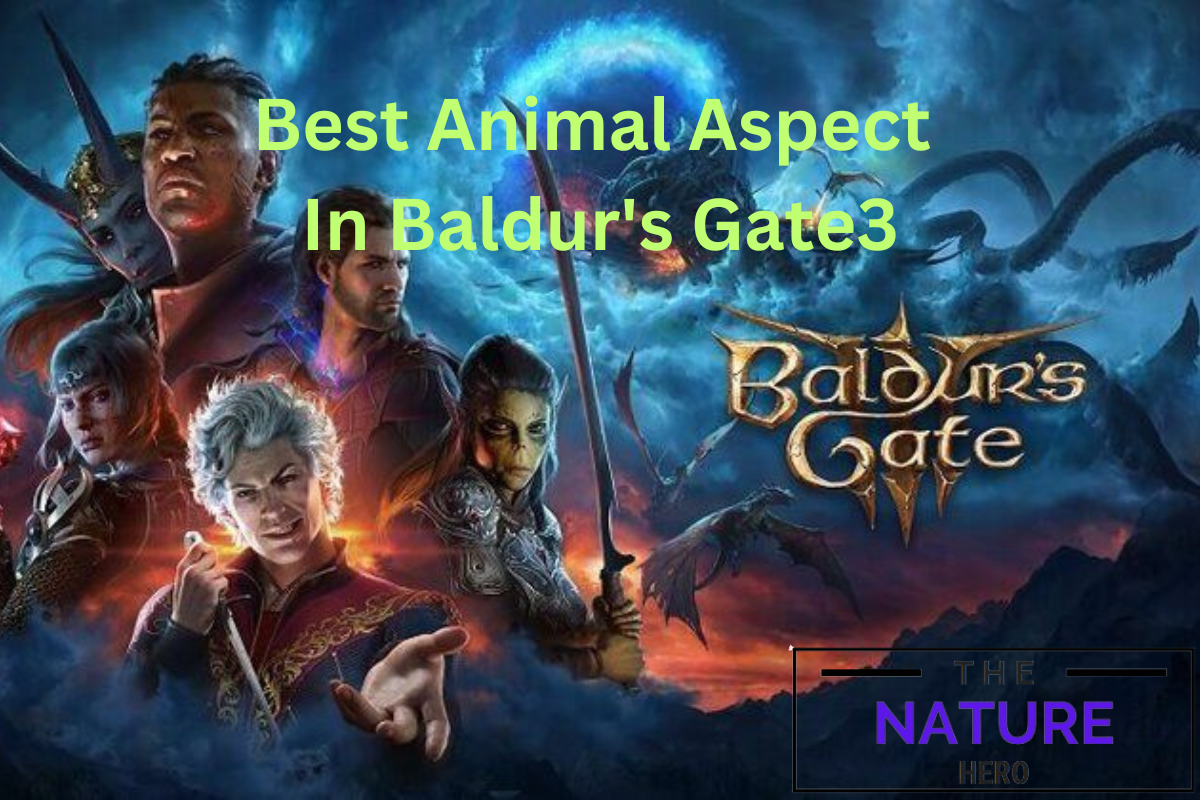 Best Animal Aspect In Baldur's Gate 3: Choose Wisely - The Nature Hero