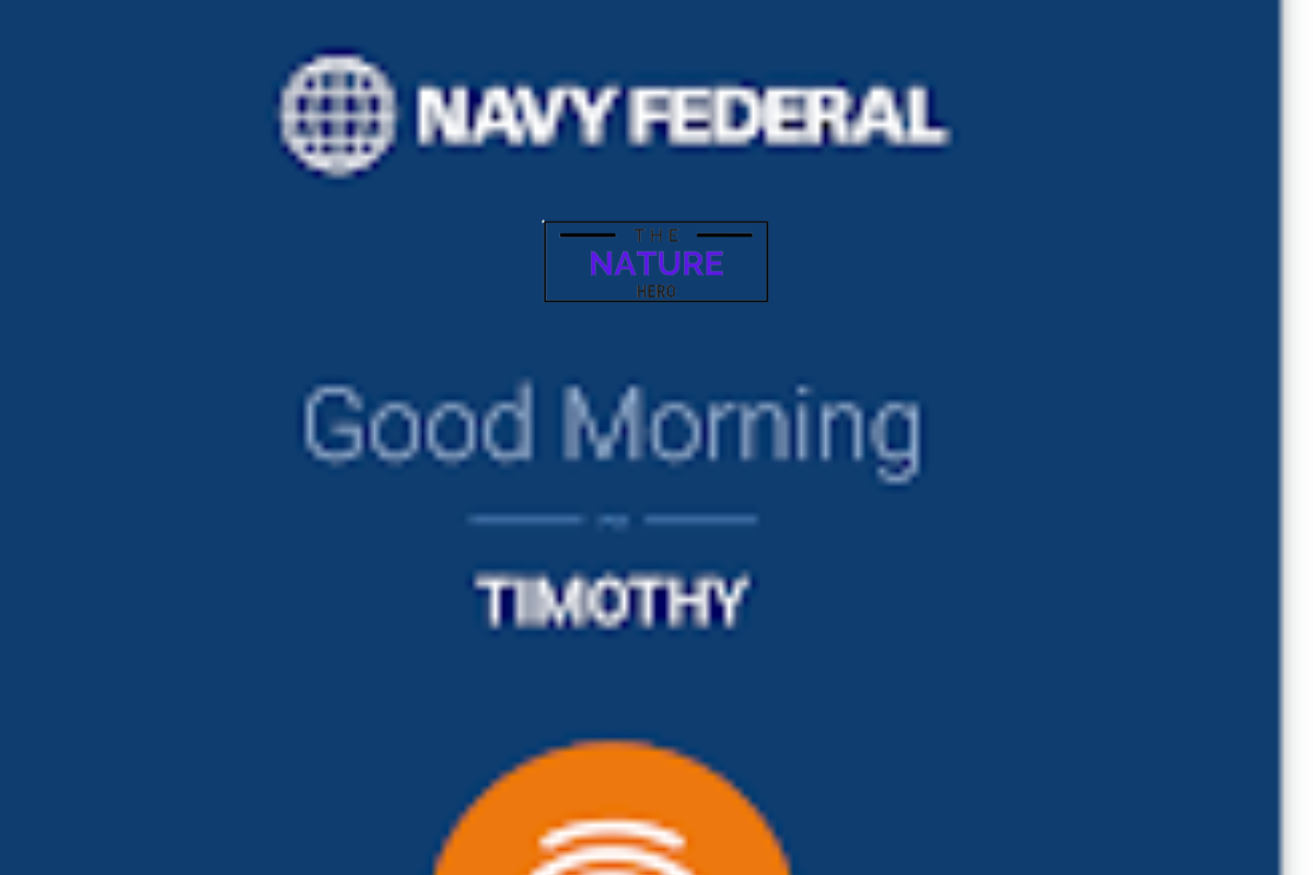 How To Check If Navy Federal App Is Down? - The Nature Hero