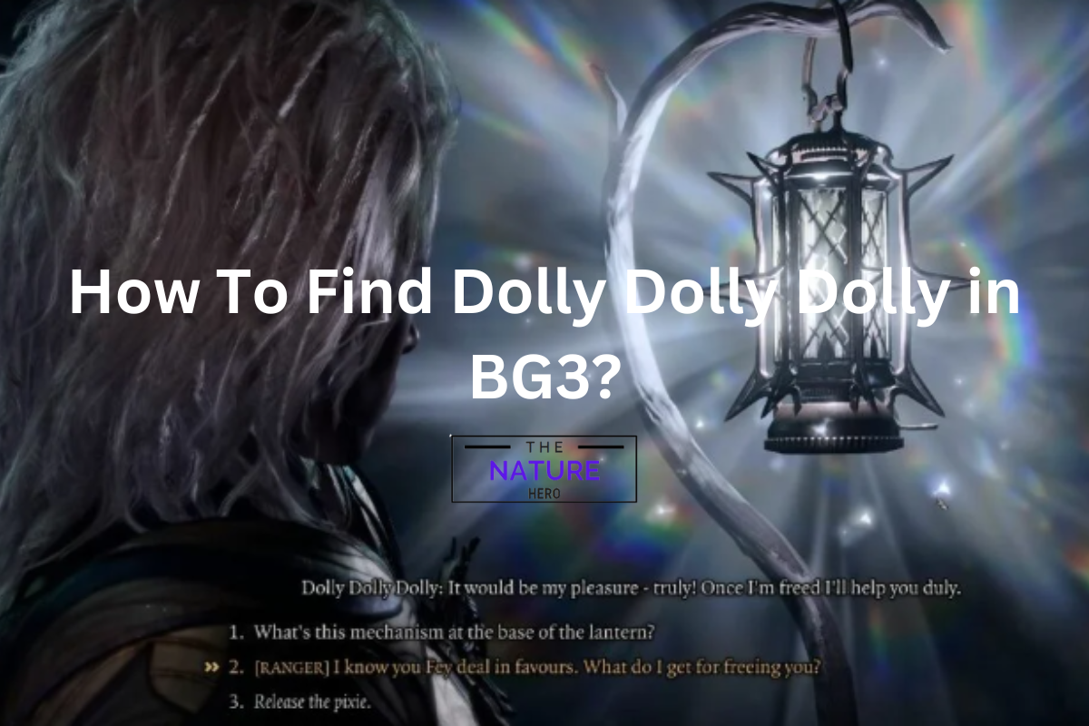 How To Find Dolly Dolly Dolly In Baldur's Gate 3? - The Nature Hero