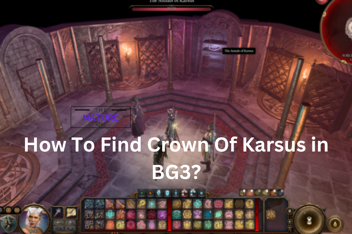 How To Find Crown Of Karsus In BG3? - The Nature Hero