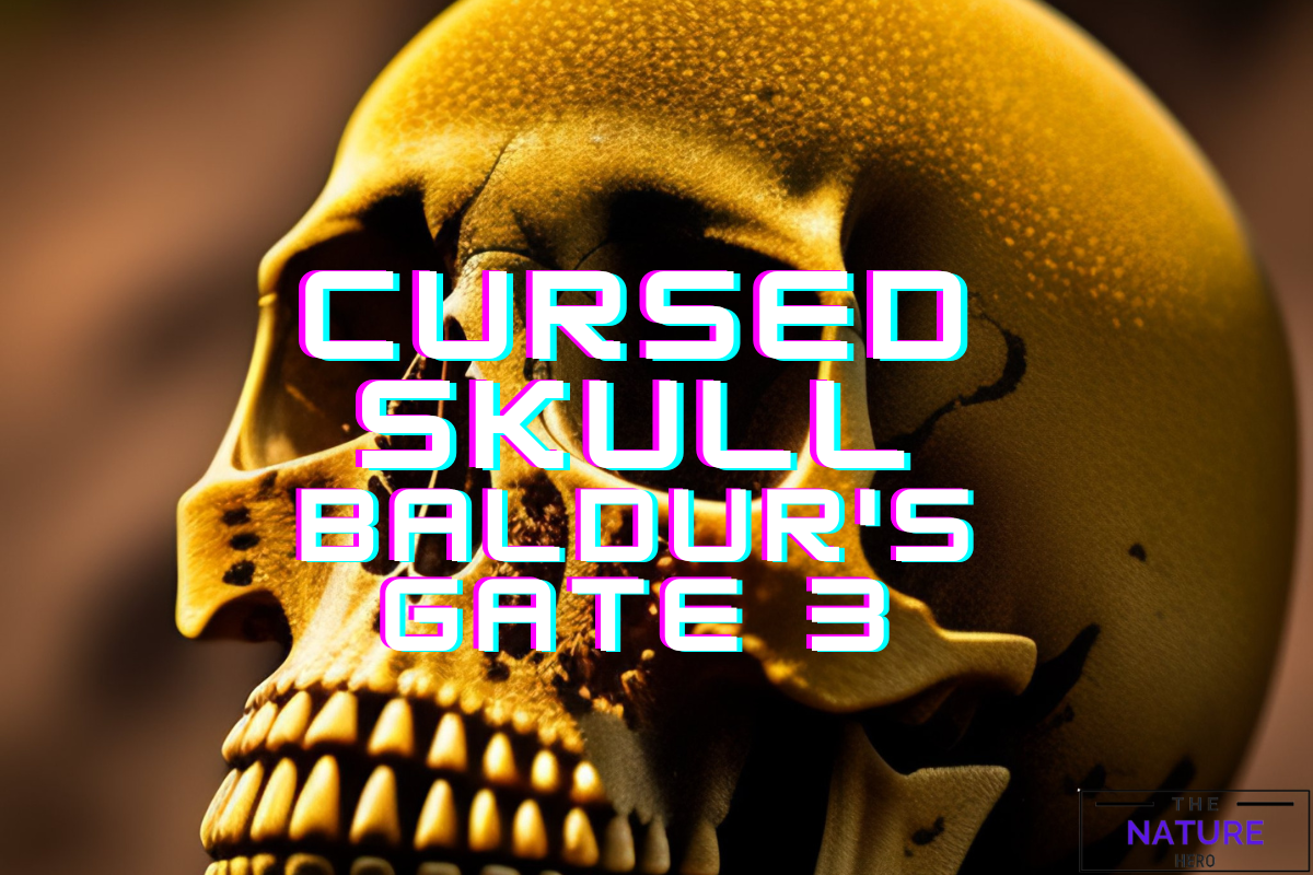 How To Destroy Cursed Skull In BG3? - The Nature Hero